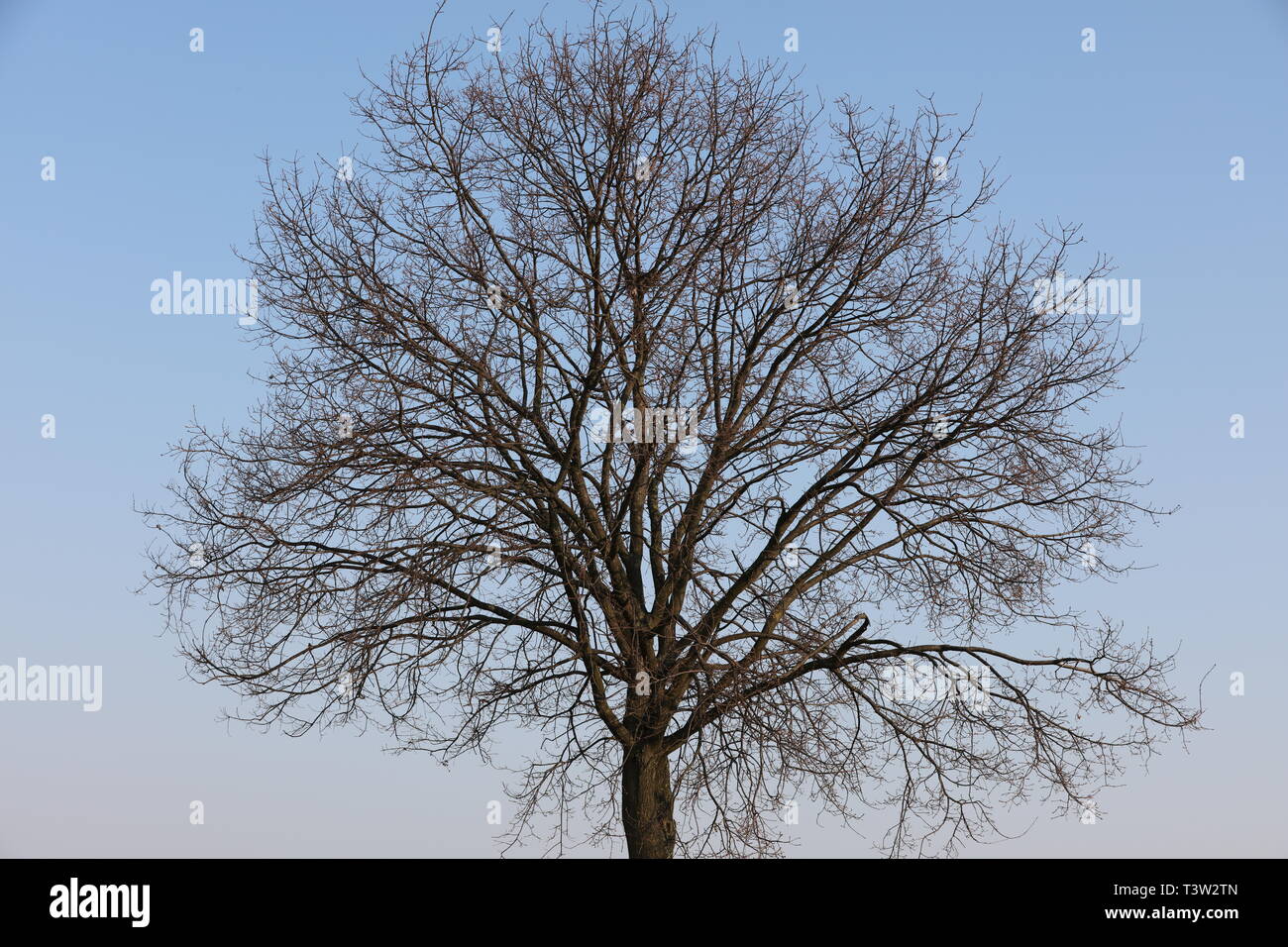Winterpause hi-res stock photography and images - Alamy