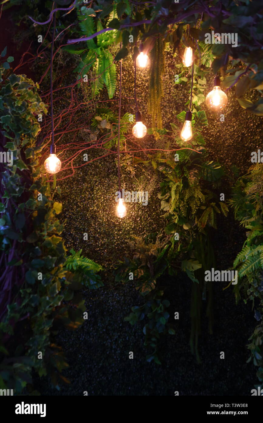 Greenhouse with artificial lighting hi-res stock photography and images ...