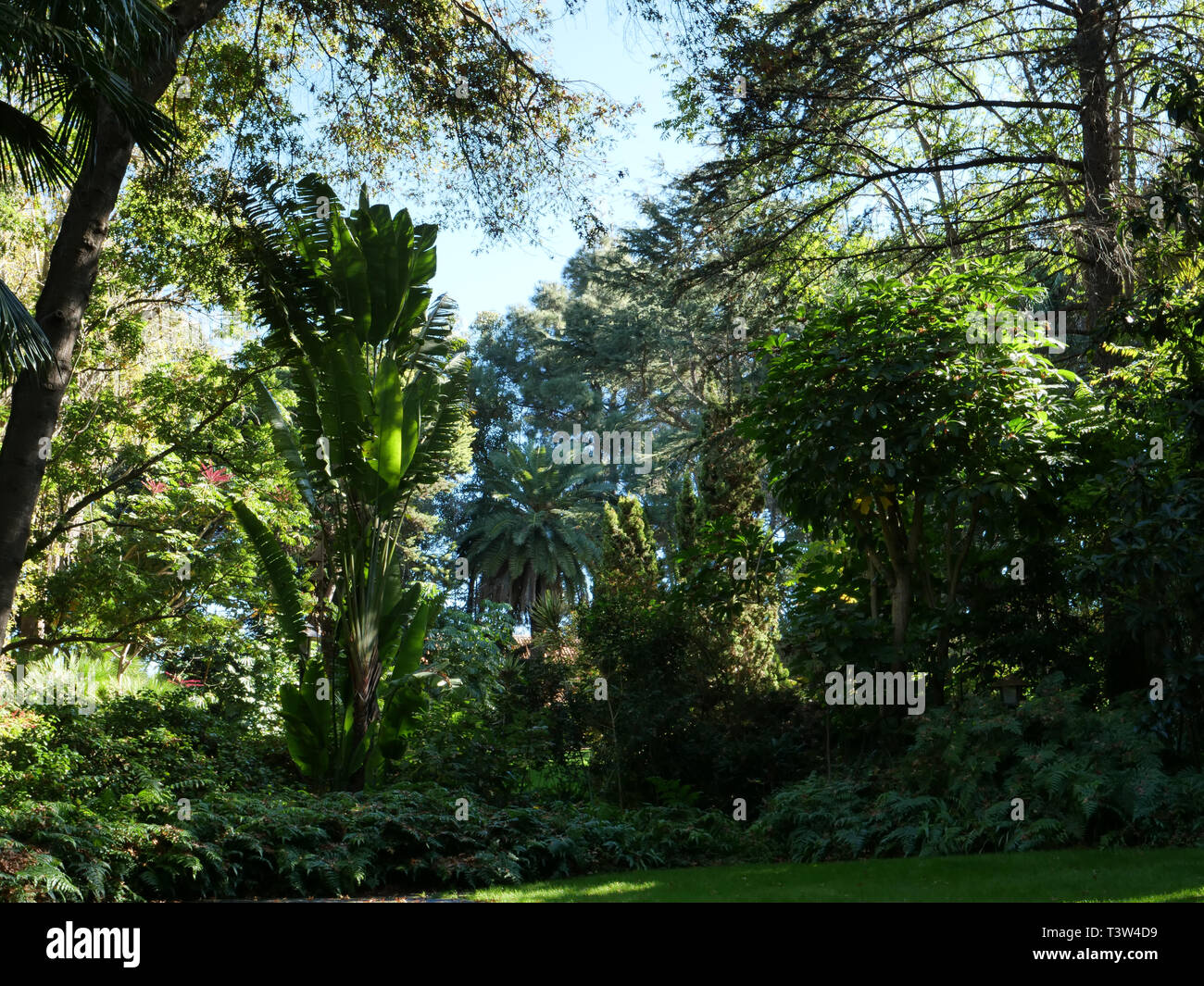Perth parks in autumn hi-res stock photography and images - Alamy
