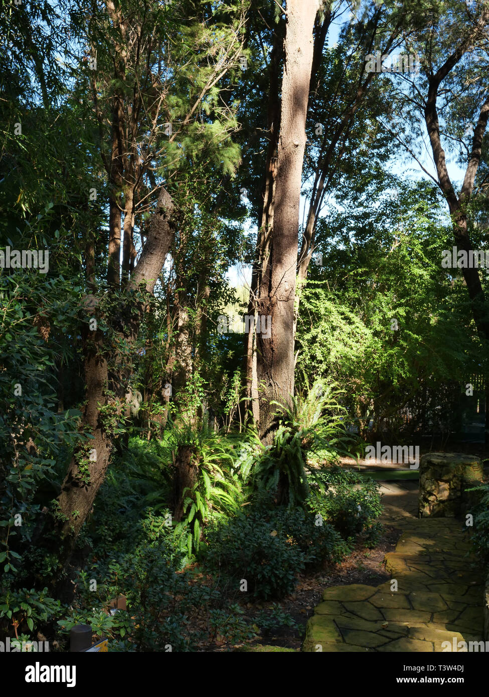 Perth parks in autumn hi-res stock photography and images - Alamy