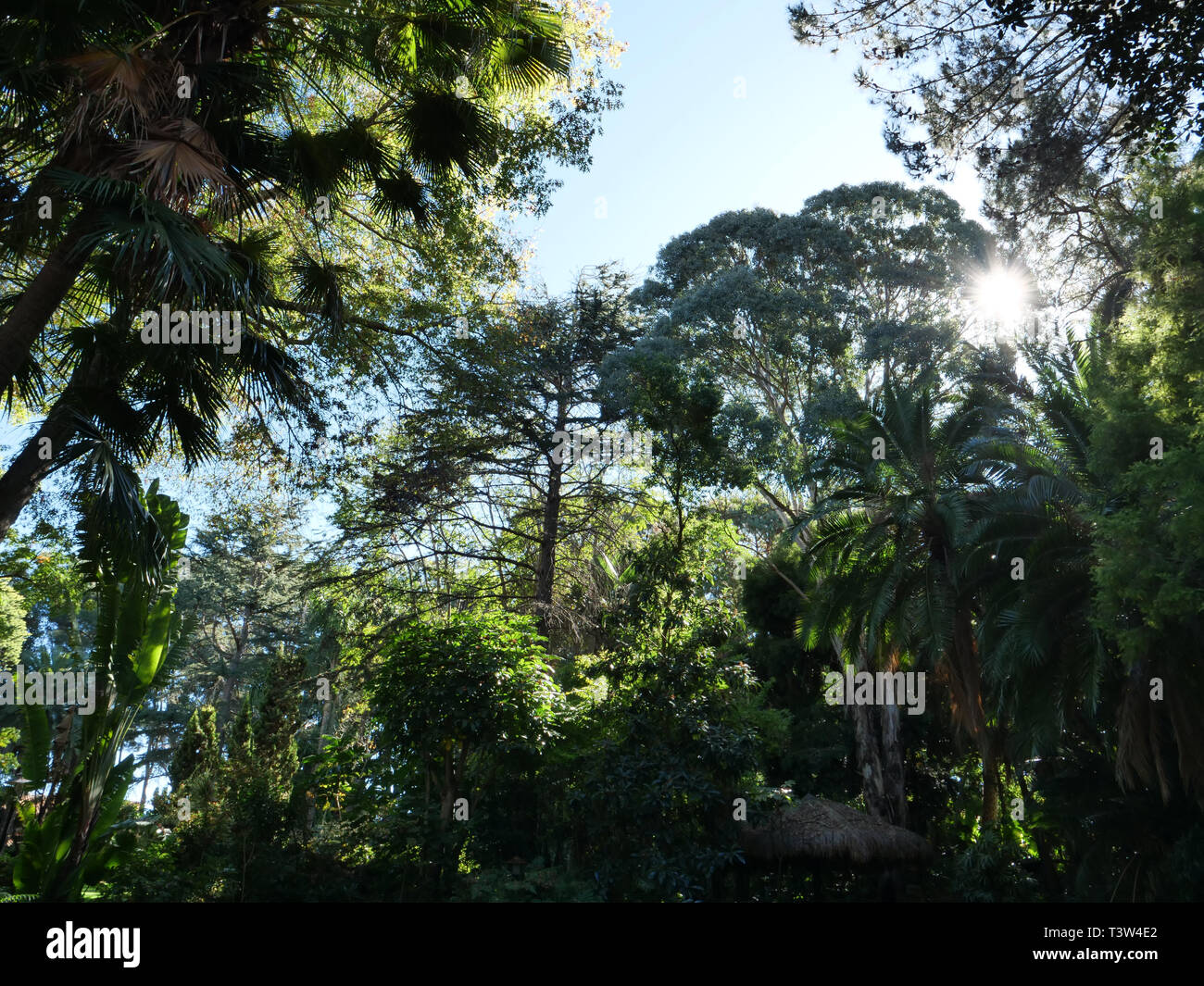 Perth parks in autumn hi-res stock photography and images - Alamy