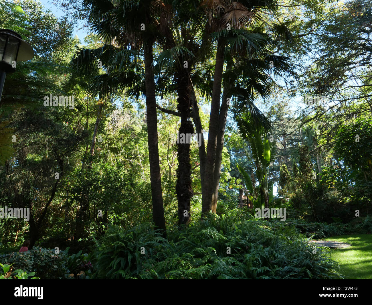 Wanneroo Botanical Garden has a mixture of native and imported garden ...