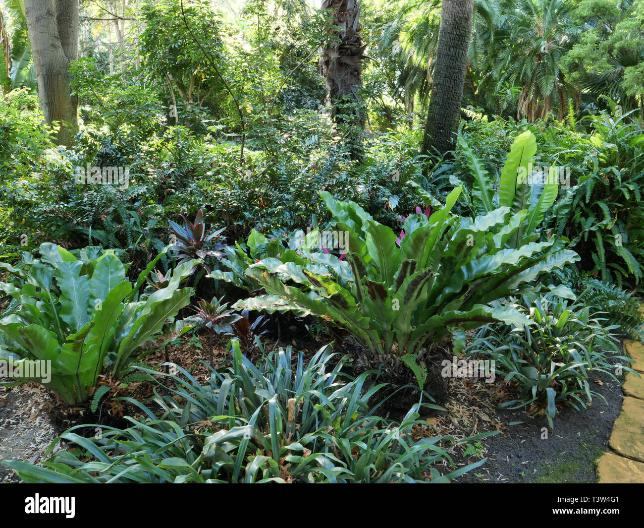 Perth parks in autumn hi-res stock photography and images - Alamy