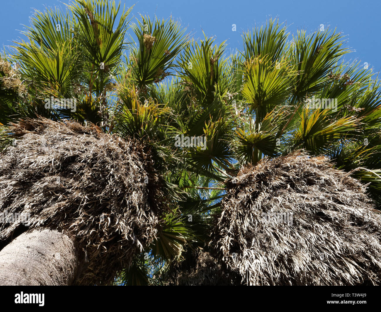 Perth parks in autumn hi-res stock photography and images - Alamy