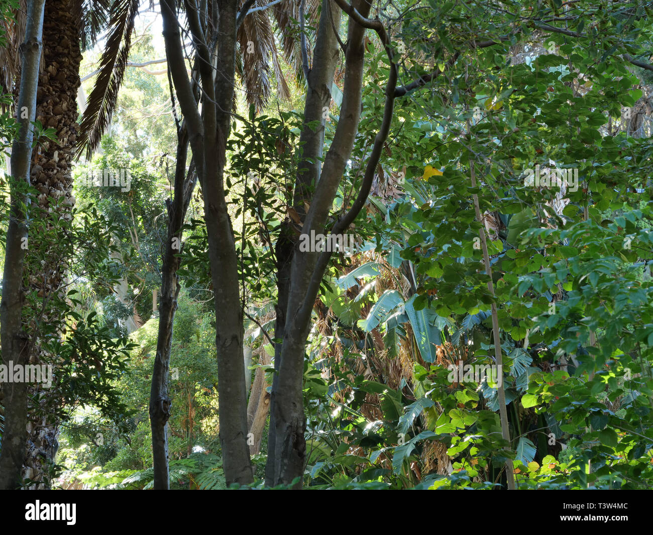 Perth parks in autumn hi-res stock photography and images - Alamy