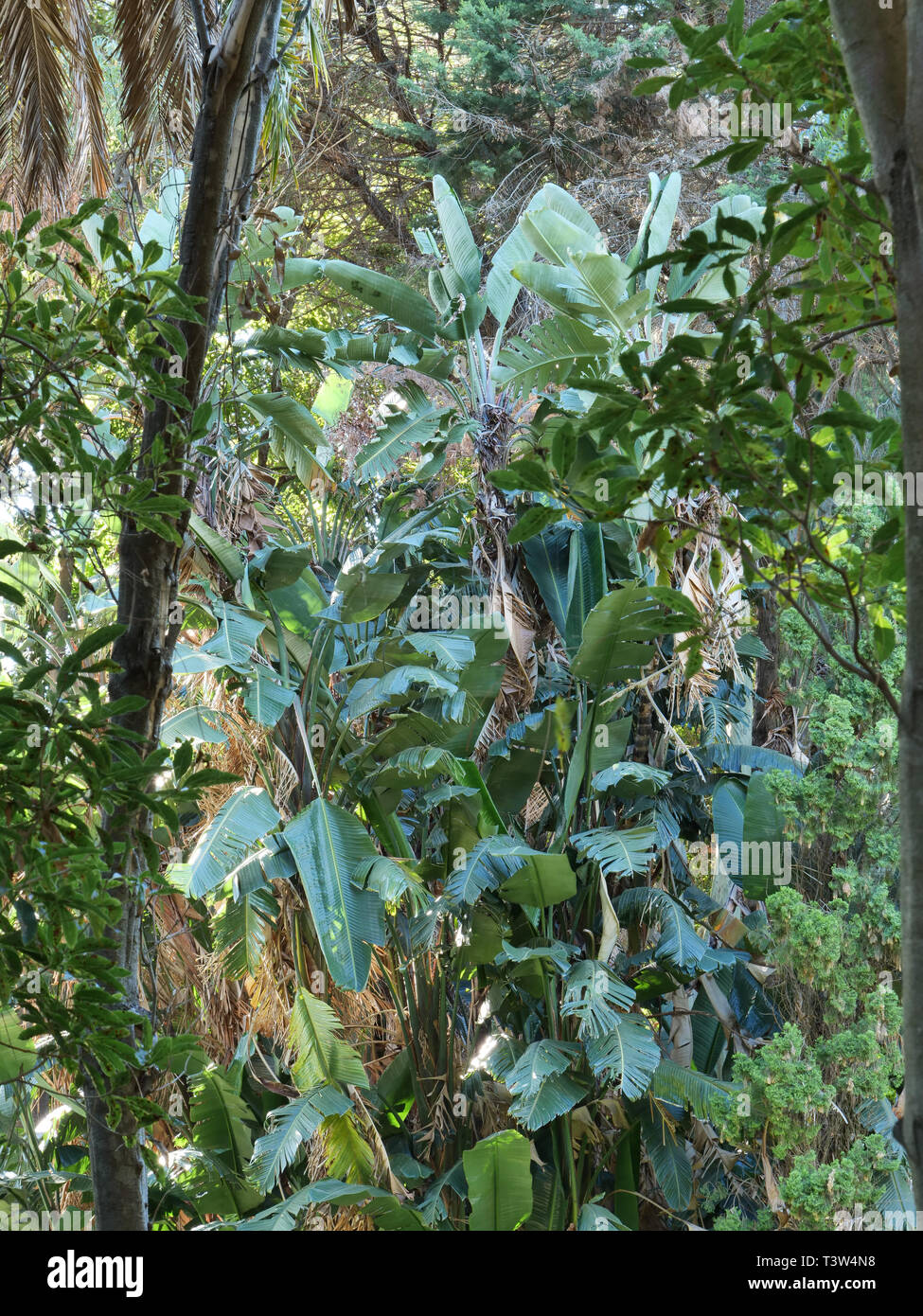 Wanneroo botanical garden hi-res stock photography and images - Alamy