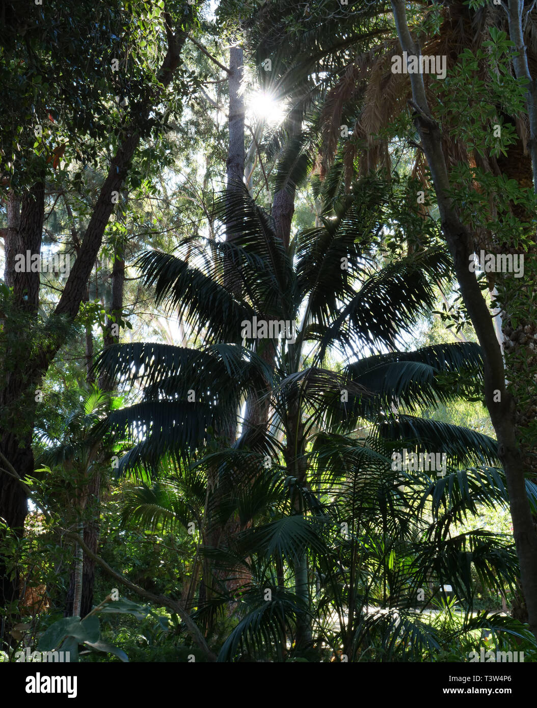 Perth parks in autumn hi-res stock photography and images - Alamy