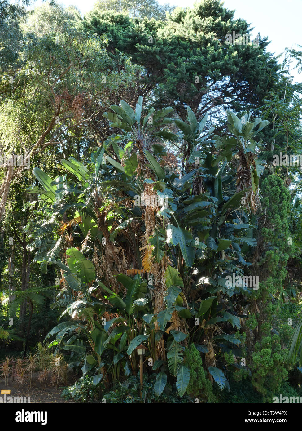 Wanneroo Botanical Garden has a mixture of native and imported garden ...