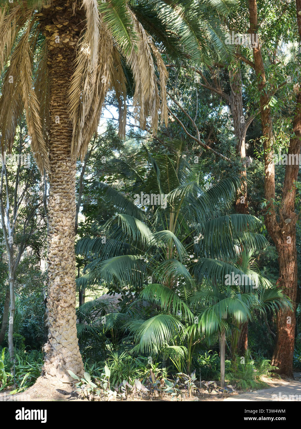 Perth parks in autumn hi-res stock photography and images - Alamy
