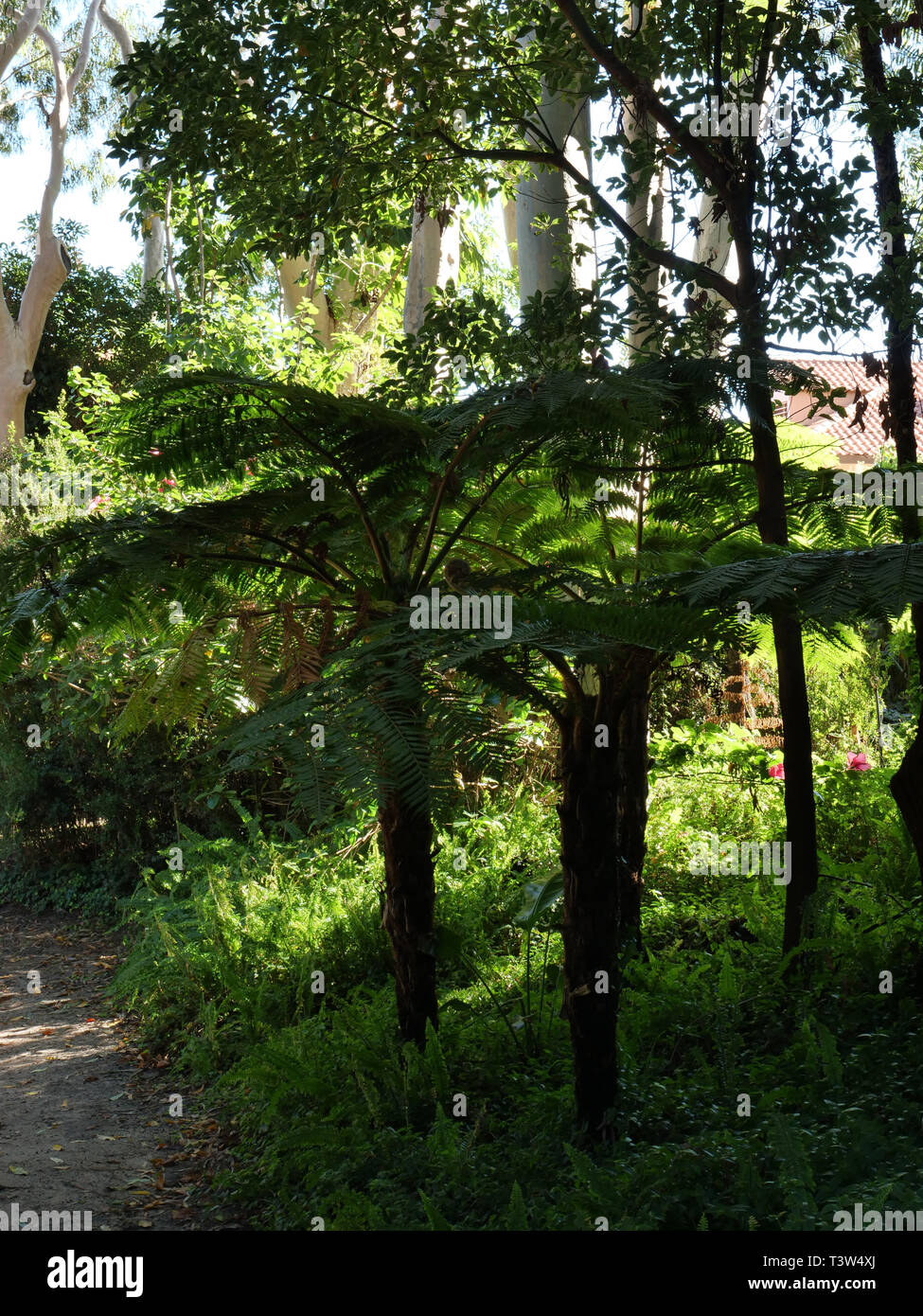 Wanneroo Botanical Garden has a mixture of native and imported garden ...