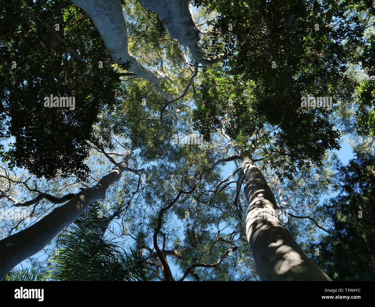 Wanneroo botanical garden hi-res stock photography and images - Alamy