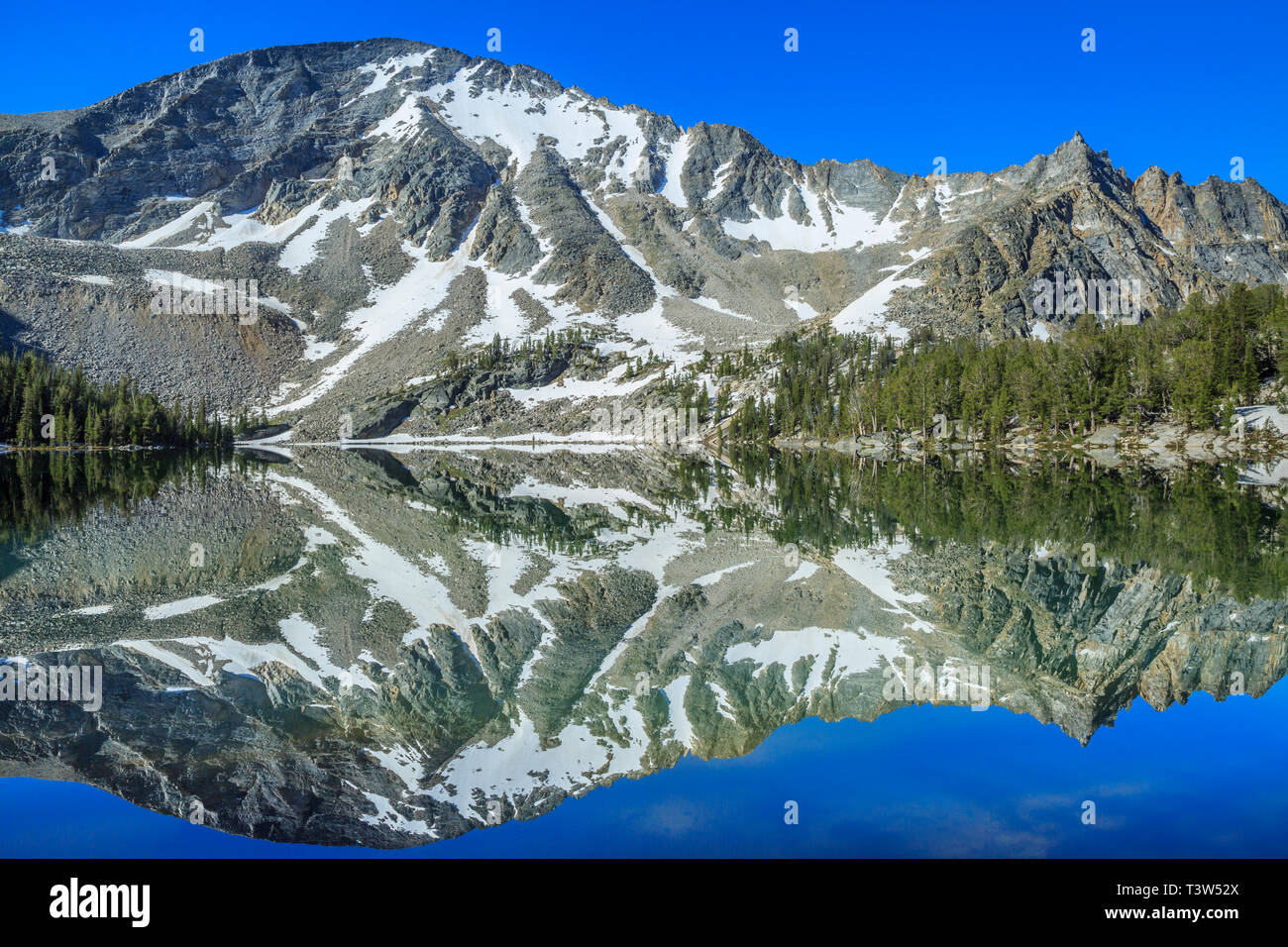 torrey mountain reflected in torrey lake in the pioneer mountains near ...