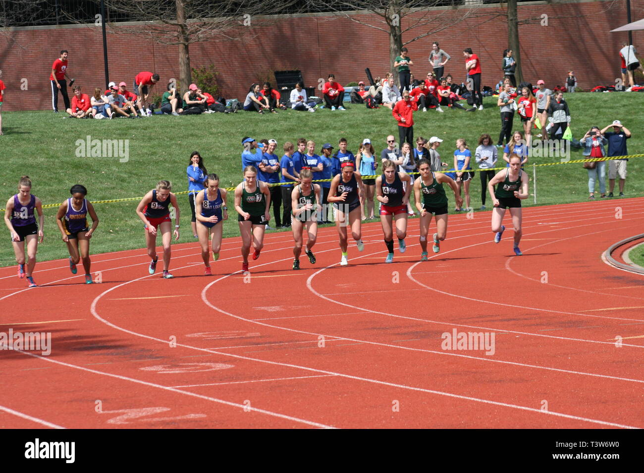 Women's 1500m start Stock Photo - Alamy