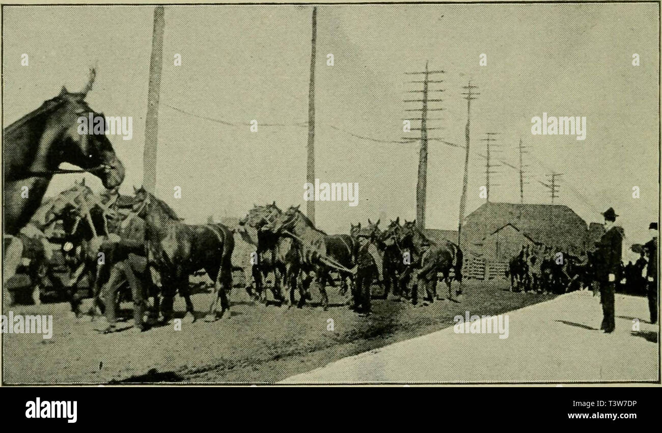 Union stockyards history hi-res stock photography and images - Alamy