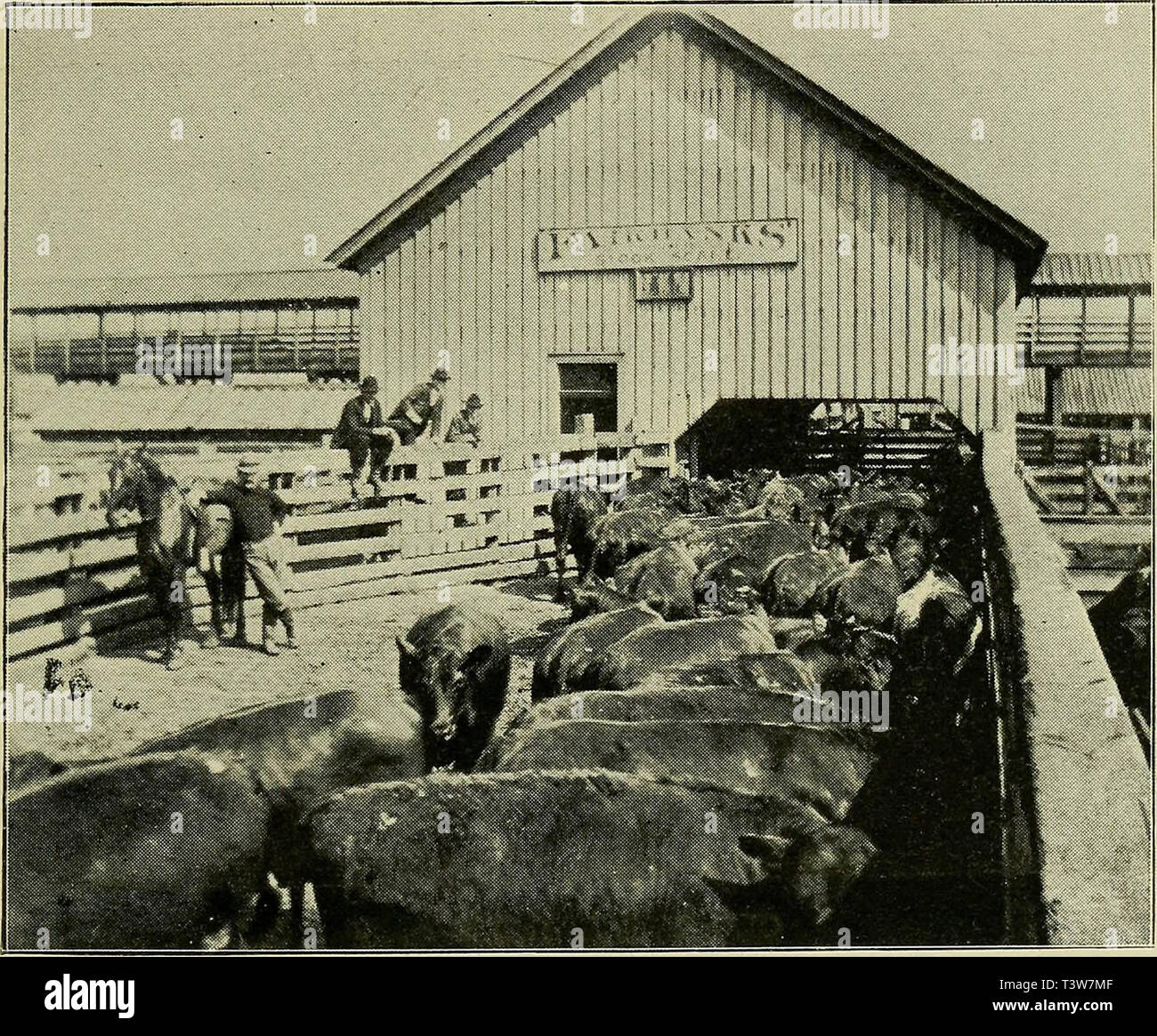 "Illustrated history of the Union Stockyards; sketch-book of familiar ...