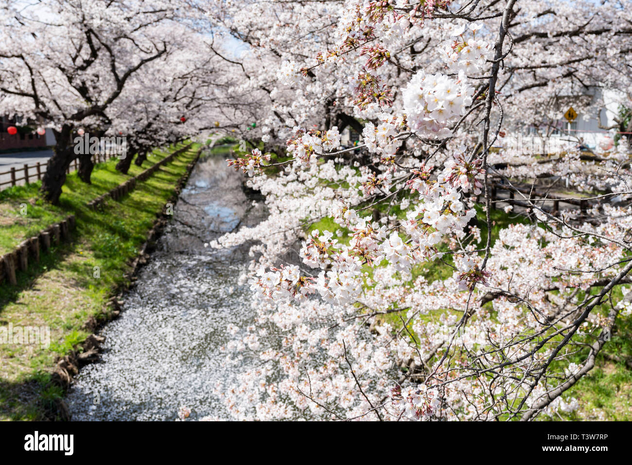 Shingashi river hi-res stock photography and images - Alamy