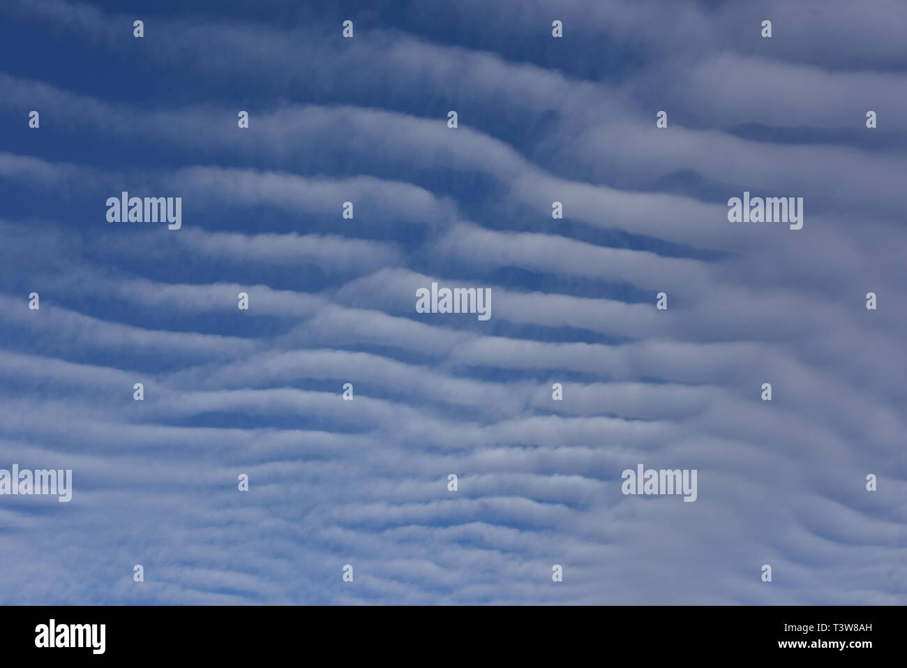 Stratocumuliform hi-res stock photography and images - Alamy