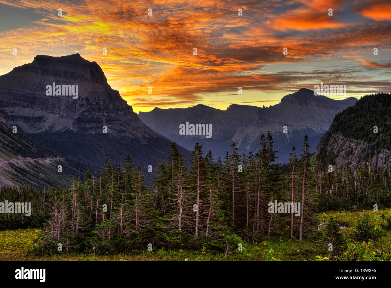 Logan pass in glacier national hi-res stock photography and images - Alamy