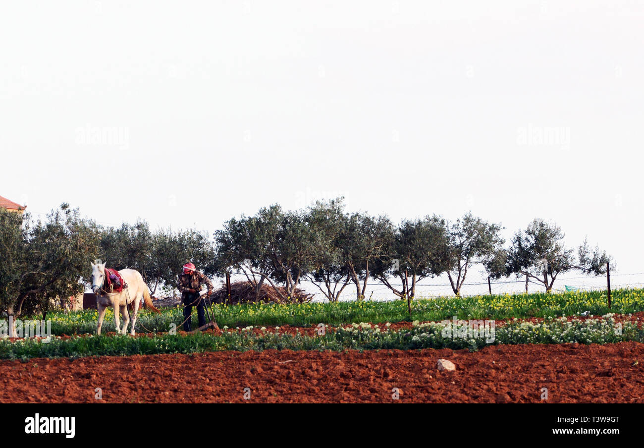 Farmer plowing field hi-res stock photography and images - Alamy