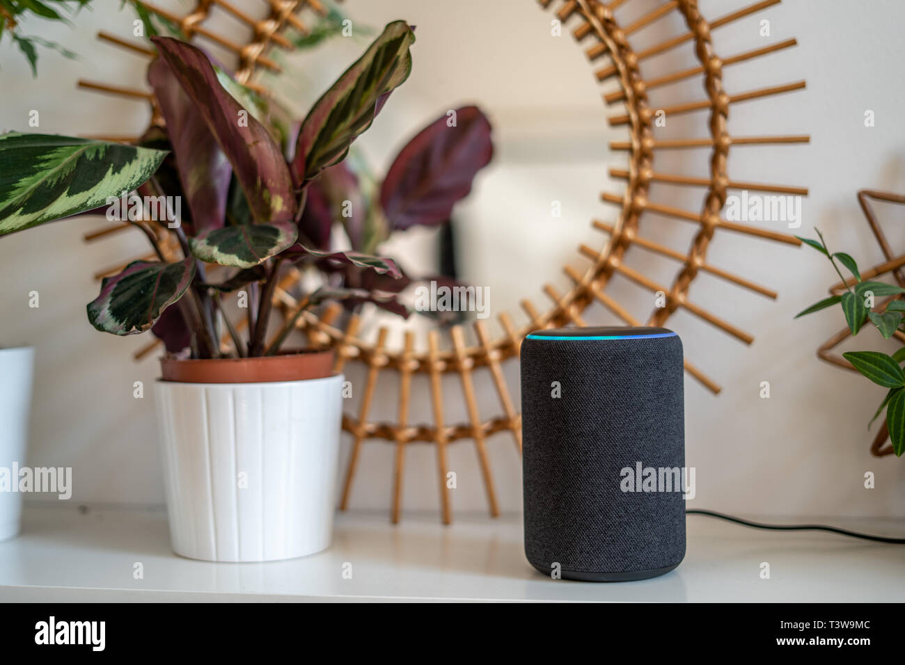 Amazon alexa hi-res stock photography and images - Alamy