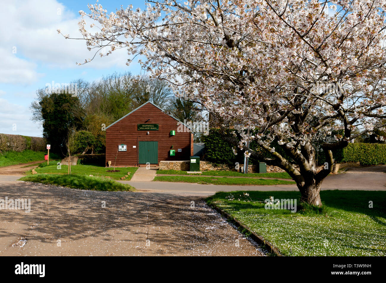 The village hall and spring blossom, Hanwell, Oxfordshire, England, UK ...