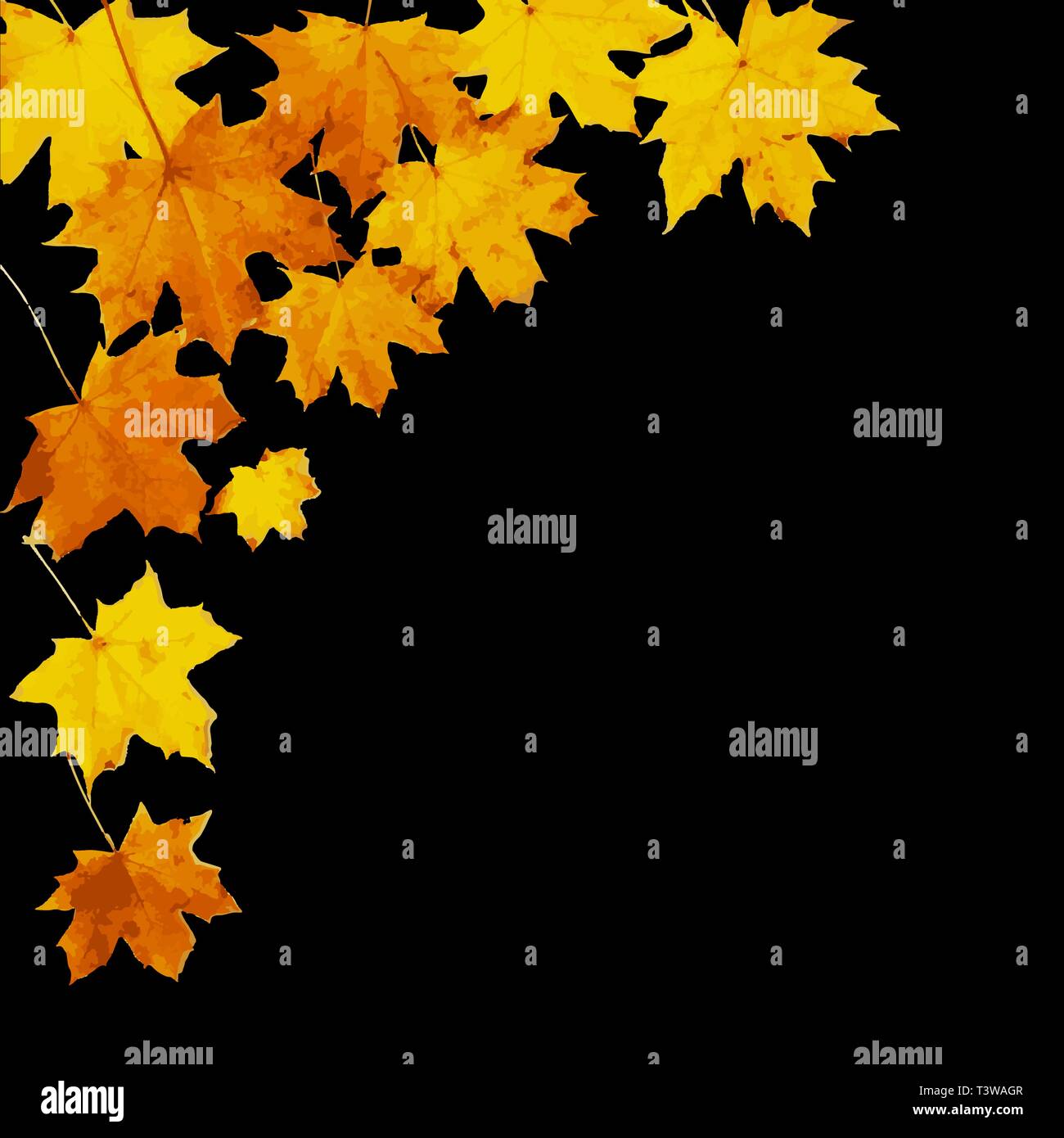 Black maple autumn leaf Stock Vector Images - Alamy