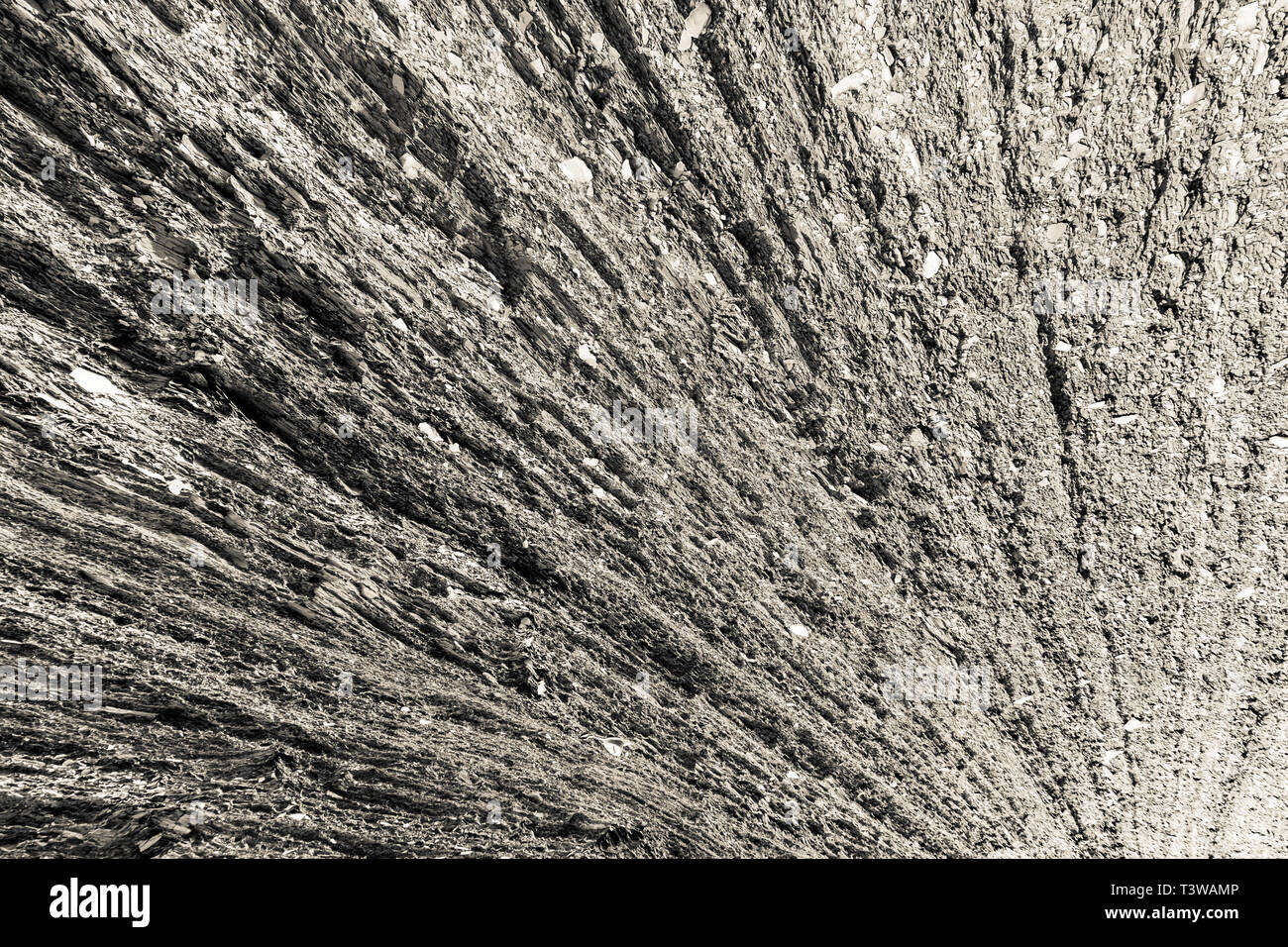 Interesting soil hi-res stock photography and images - Alamy