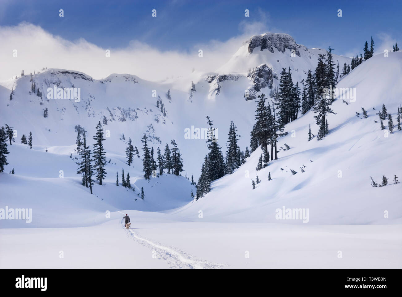 Snowy mountains overlooking Heather Meadows, Washington, United States ...