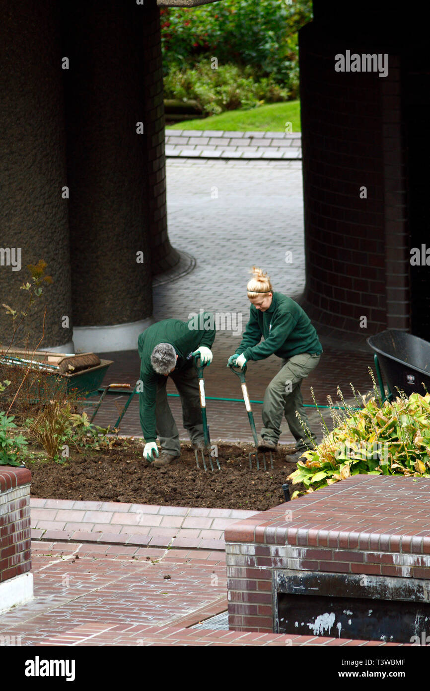 Man bending over digging garden hi-res stock photography and images - Alamy