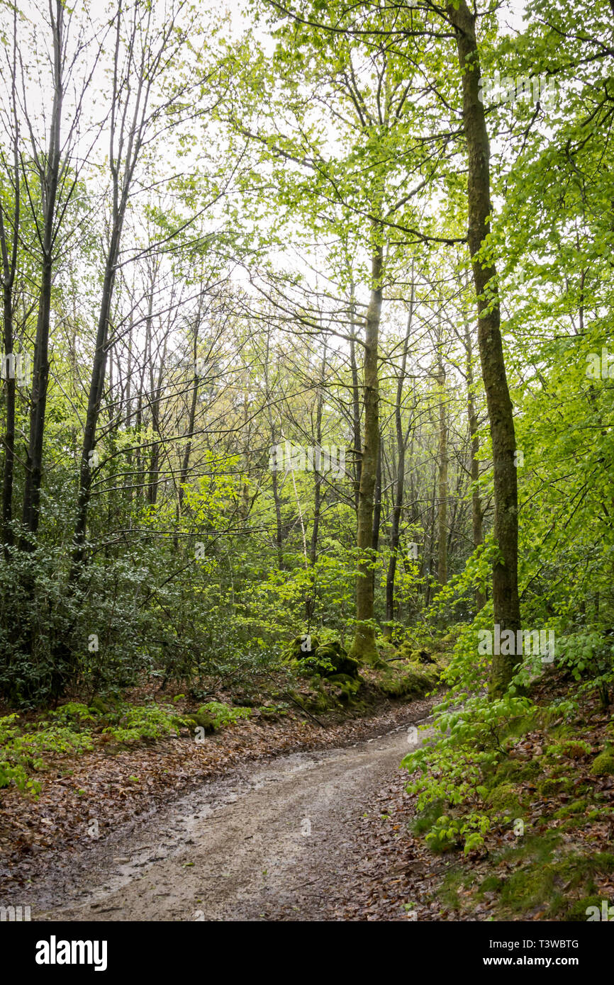 Access way hi-res stock photography and images - Alamy