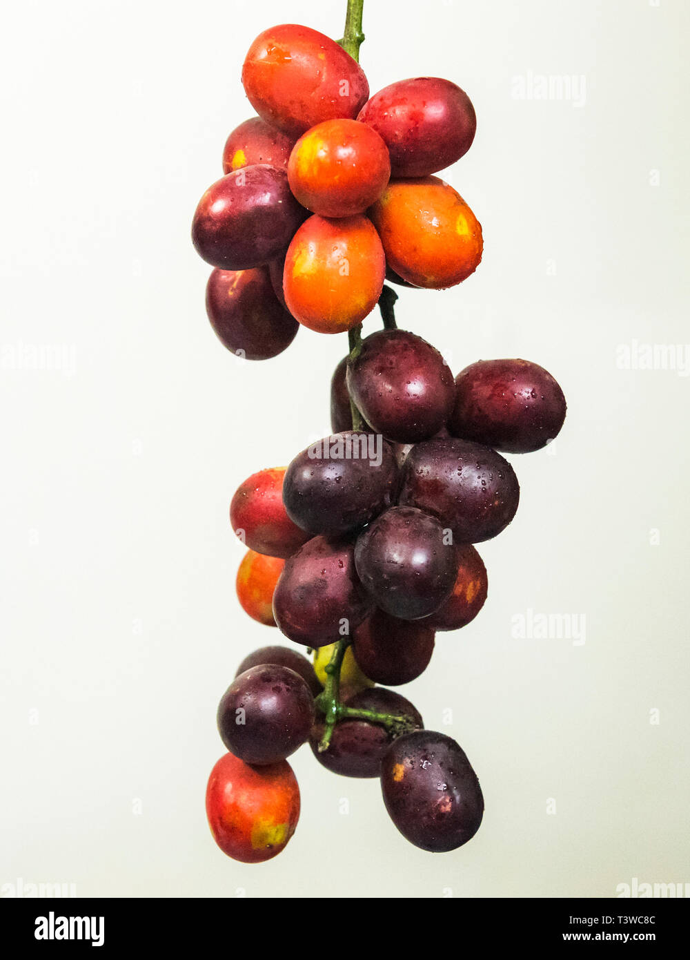 Blood fruit hi-res stock photography and images - Alamy