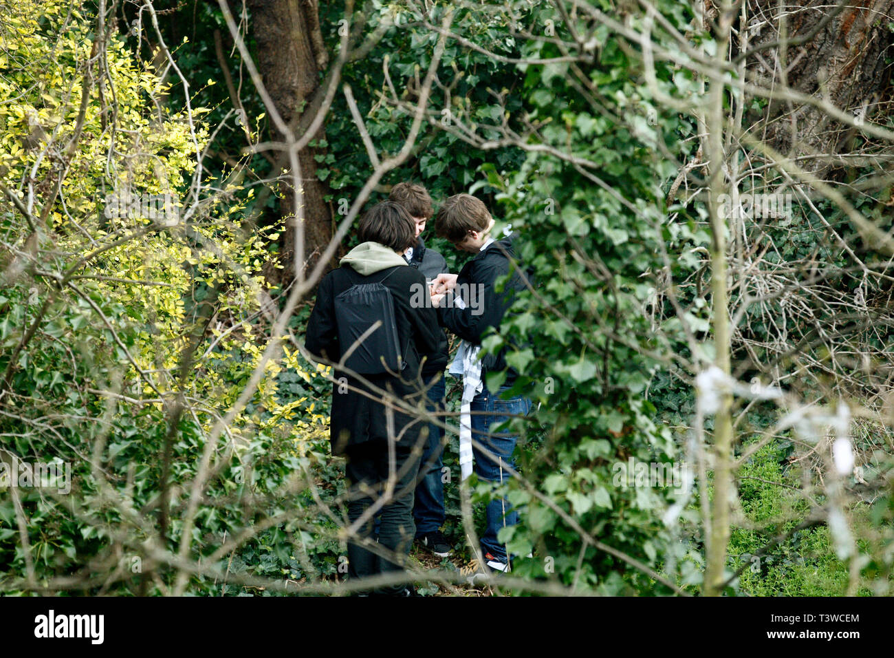 Teenage boys bunking off school to hide in wooded area and smoke a ...