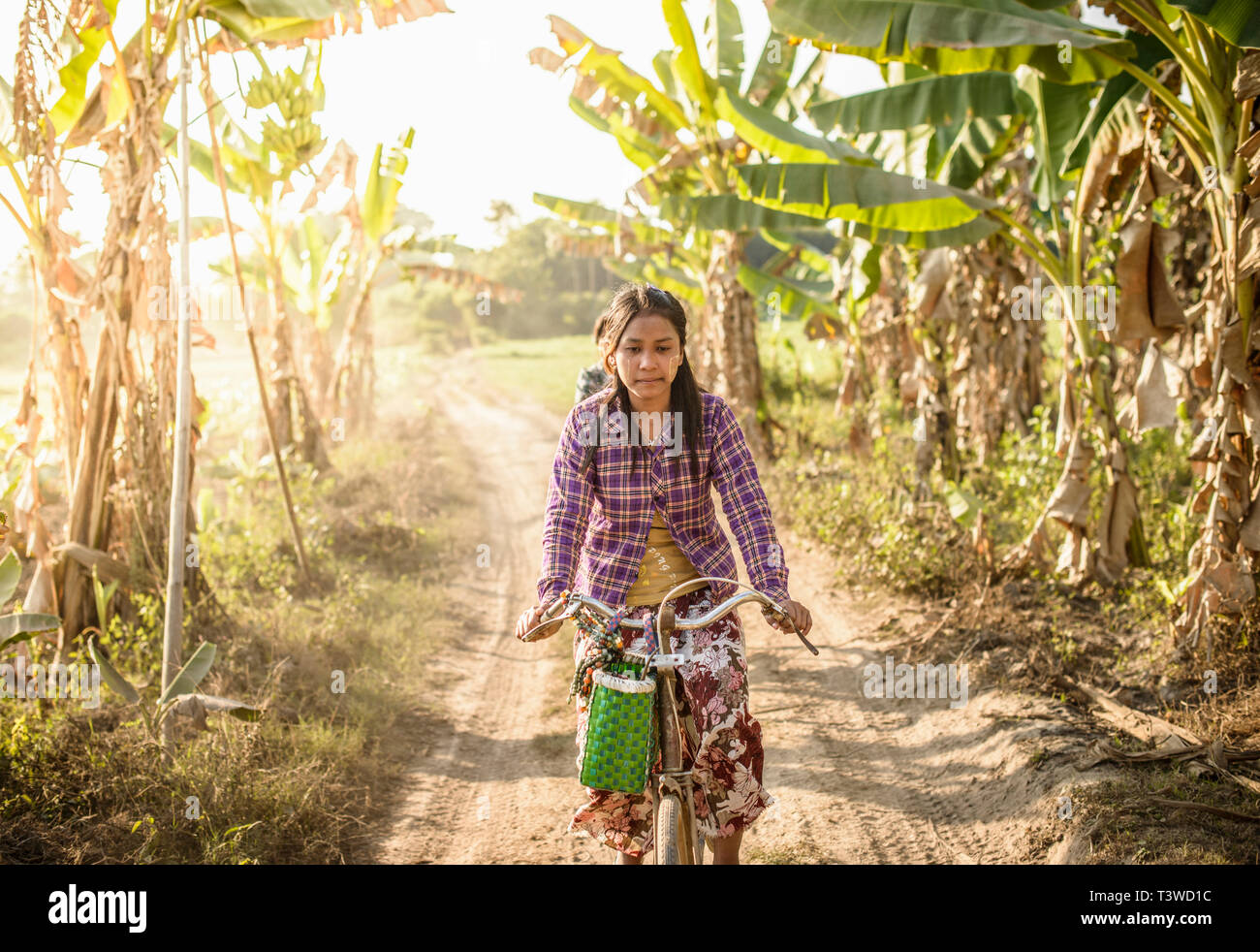 Woman cycling down on road hi-res stock photography and images - Alamy