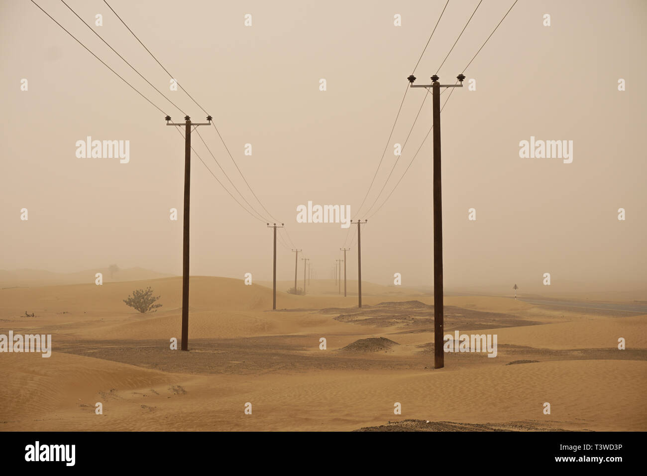 power line through desert Stock Photo - Alamy