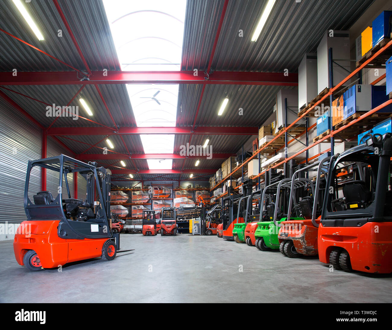 Forklift machinery in a row in warehouse Stock Photo - Alamy