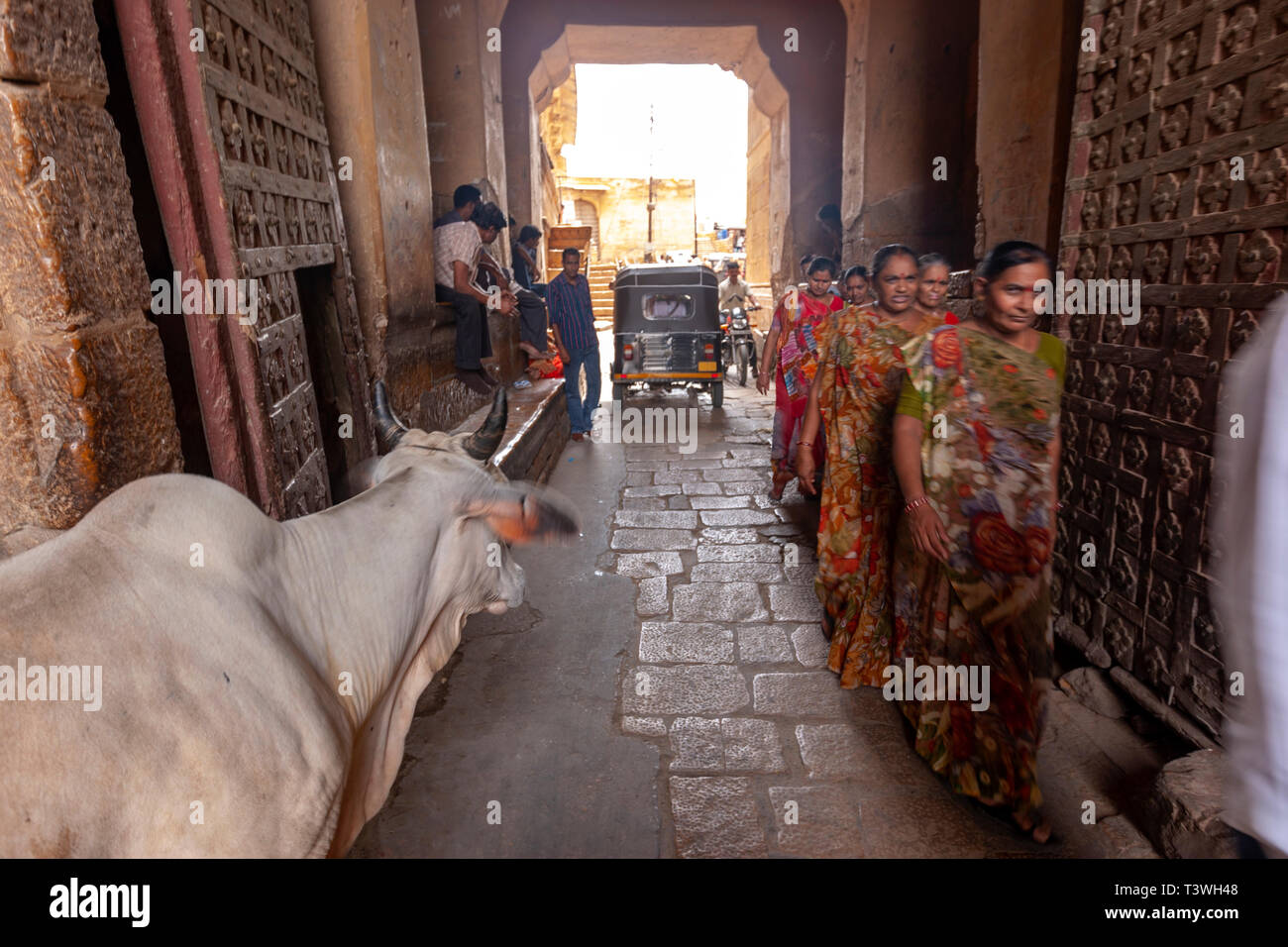 Rajasthani gate hi-res stock photography and images - Alamy