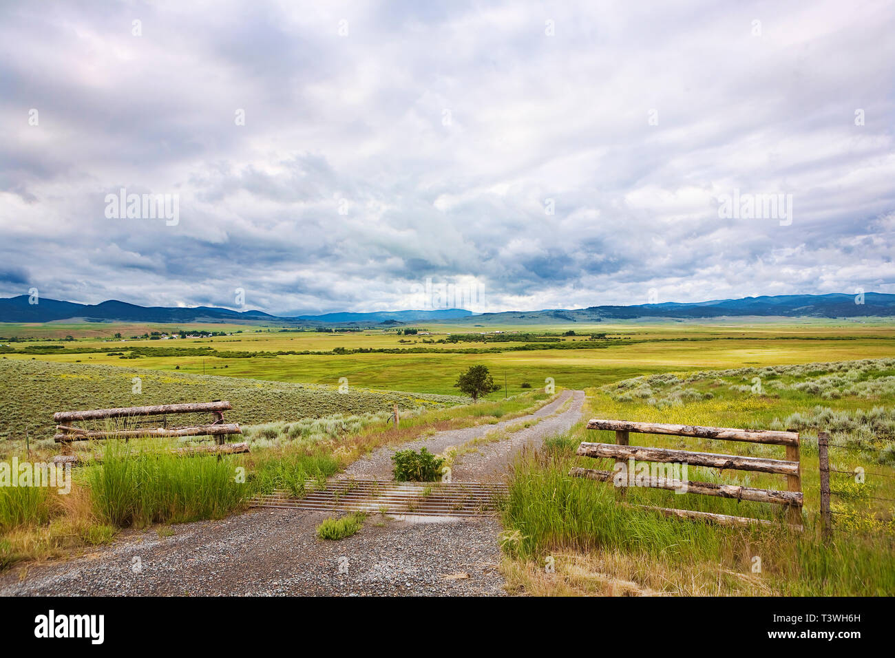 Dirt road in field in rural landscape Stock Photo - Alamy
