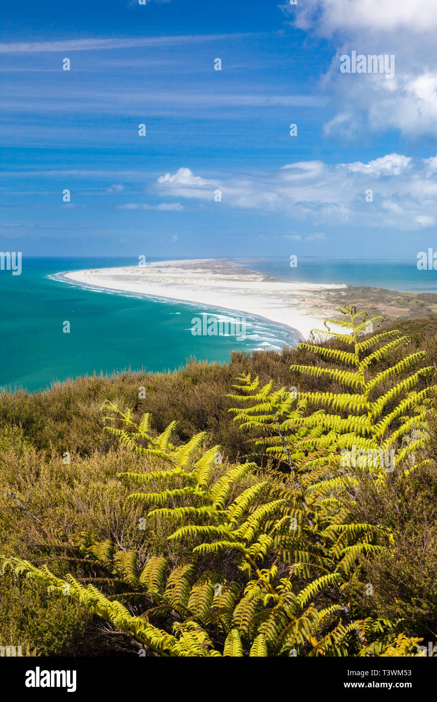 Farewell spit hi-res stock photography and images - Alamy