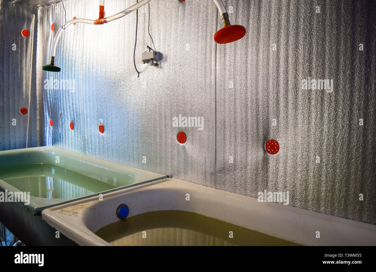 A room for growing fish fry. Bath for the fry. A fish-nursery Stock ...