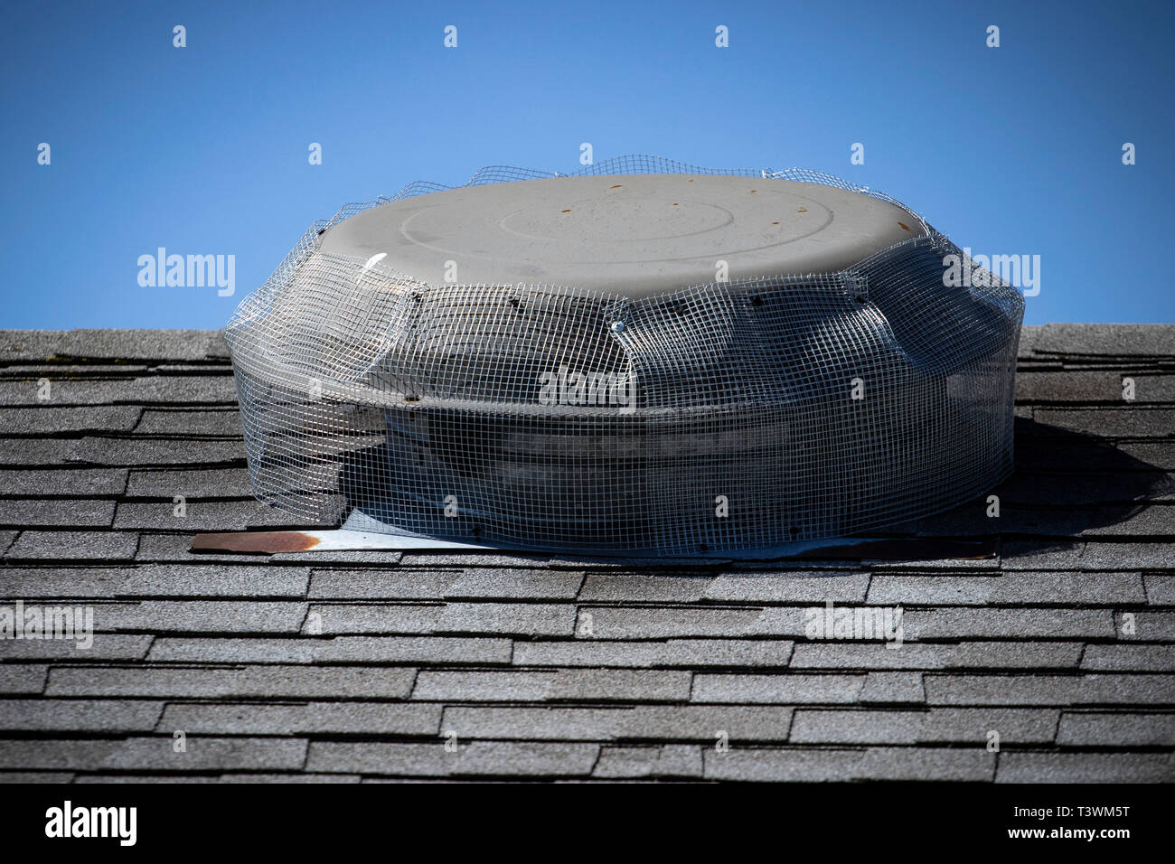 Mesh roof hi-res stock photography and images - Alamy