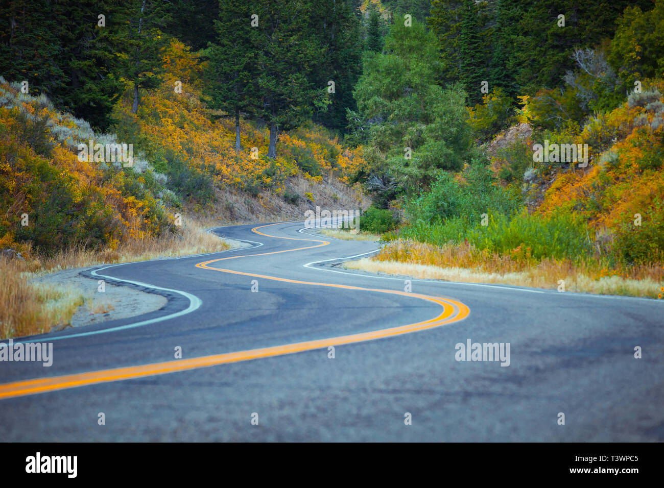 Mountain highway in Utah Stock Photo - Alamy