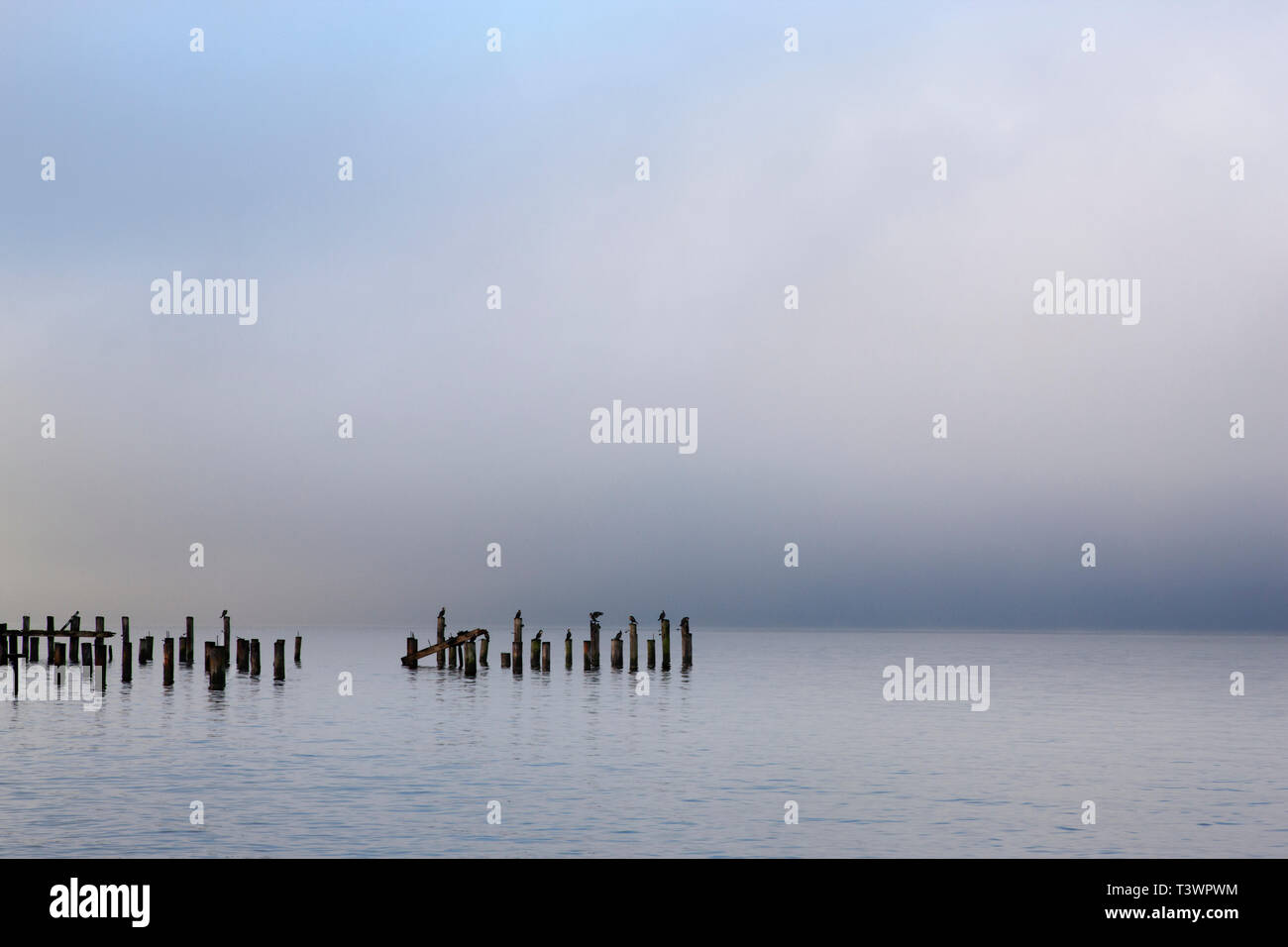 Under dock ocean calm hi-res stock photography and images - Alamy