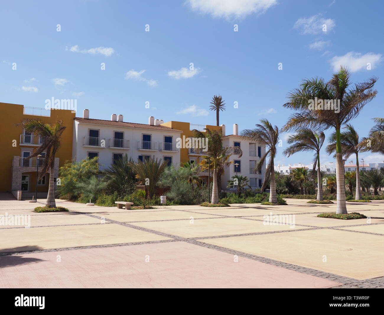 Colorful buildings and palm trees at african Sal island in Cape Verde ...