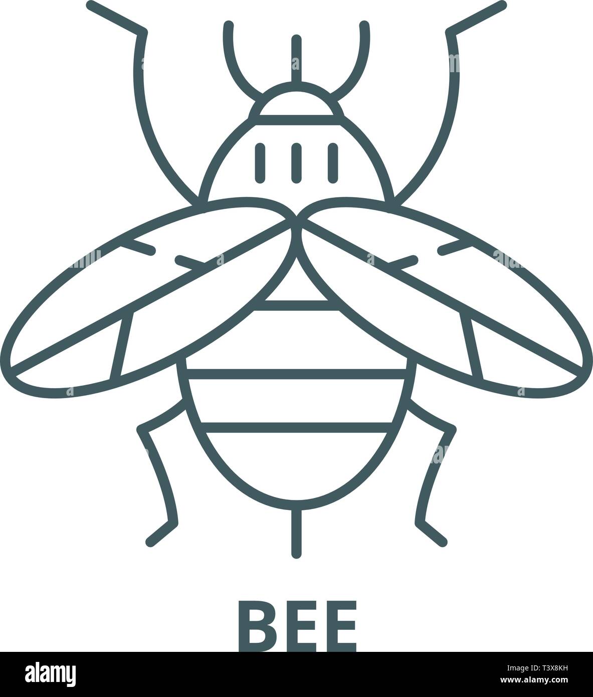 Bee line icon, vector. Bee outline sign, concept symbol, flat ...