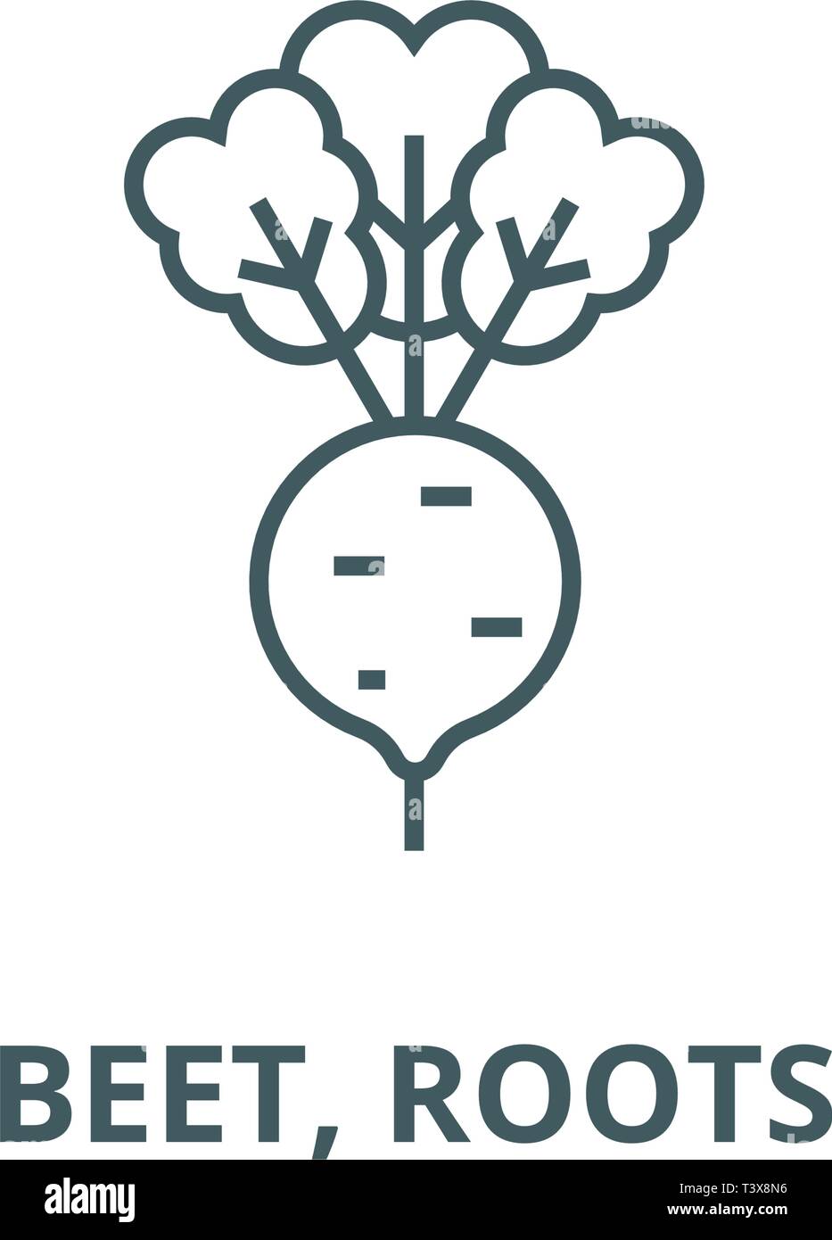 Beet, roots line icon, vector. Beet, roots outline sign, concept symbol ...