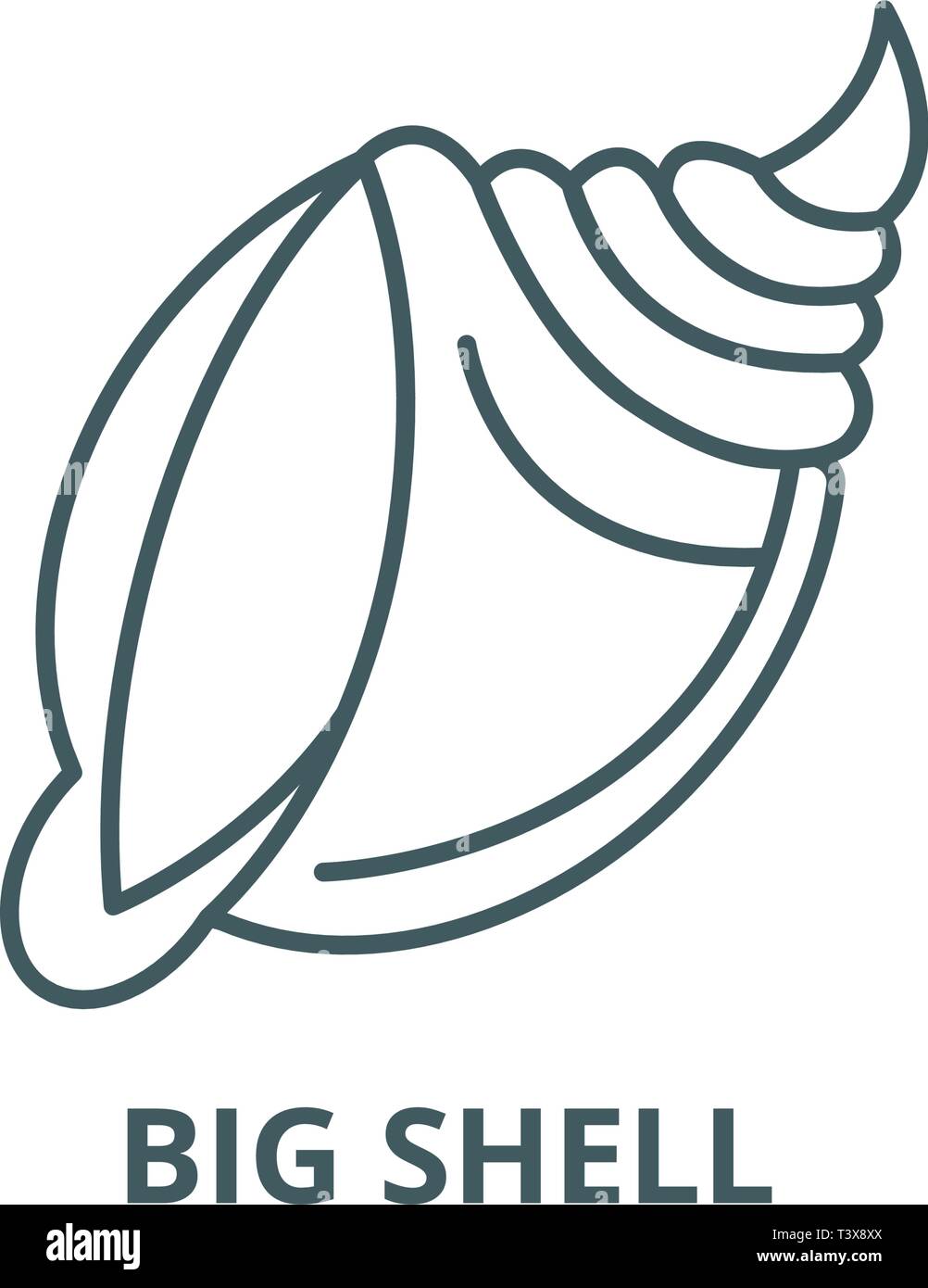 Big shell line icon, vector. Big shell outline sign, concept symbol ... Big shell line icon, vector. Big shell outline sign, concept symbol ...