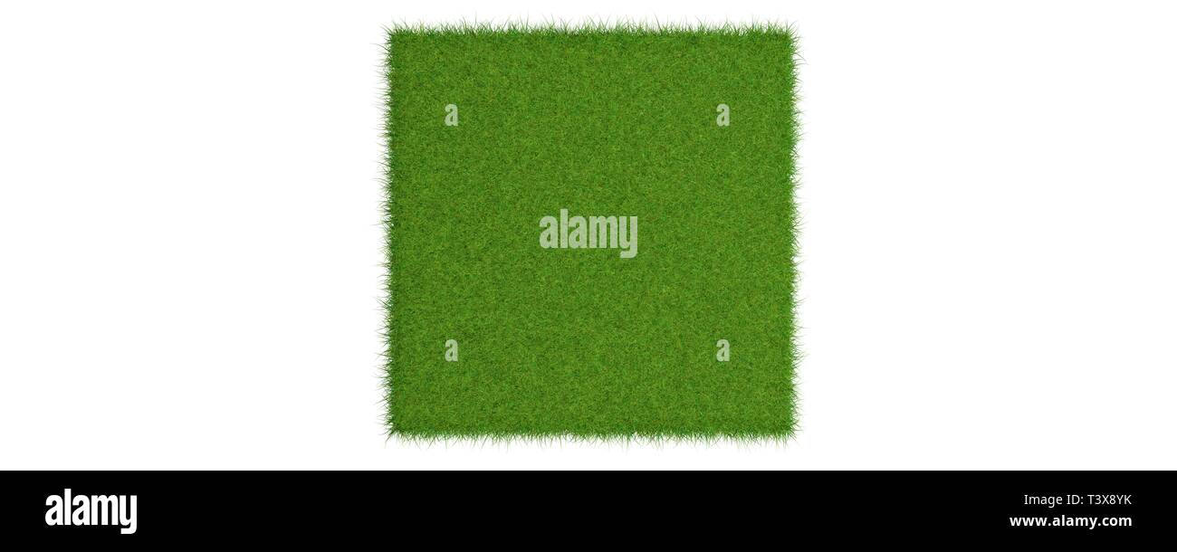 3d rendering of a grass patch isolated on a white background Stock ...