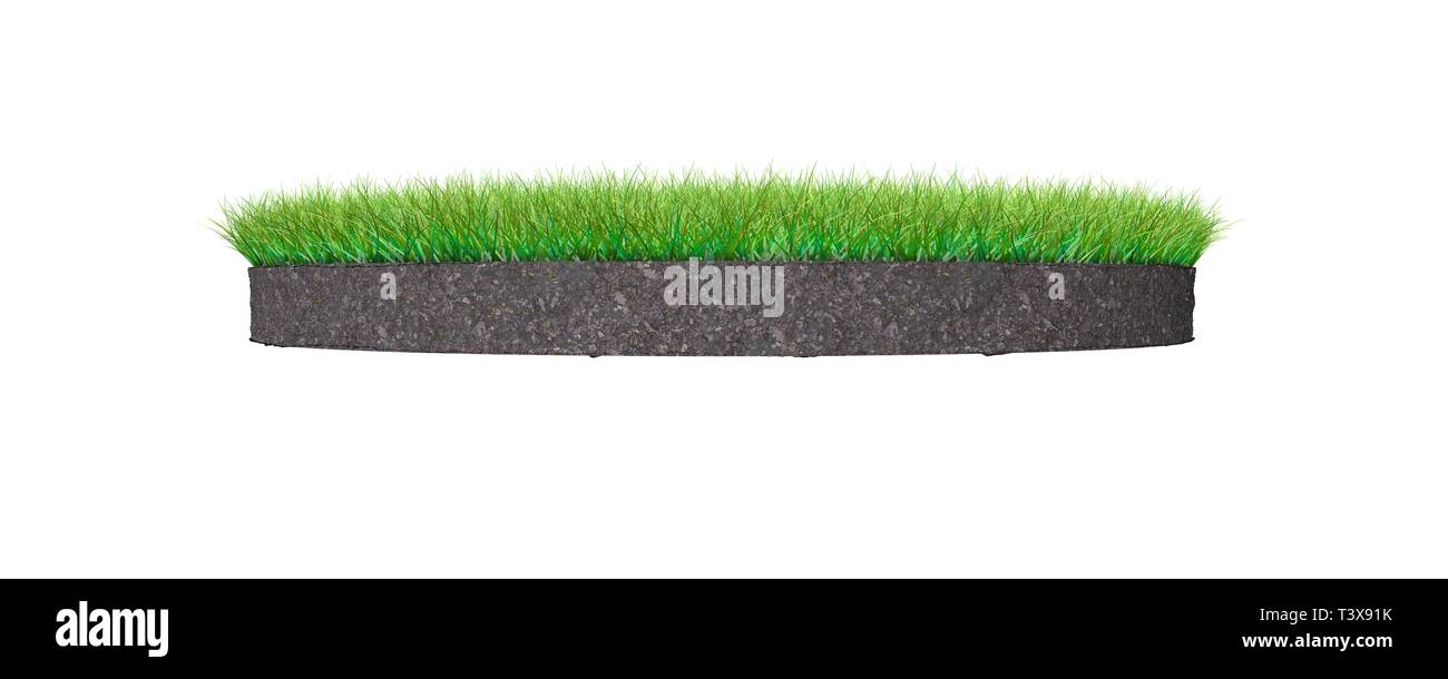 3d rendering of a grass patch isolated on a white background Stock ...