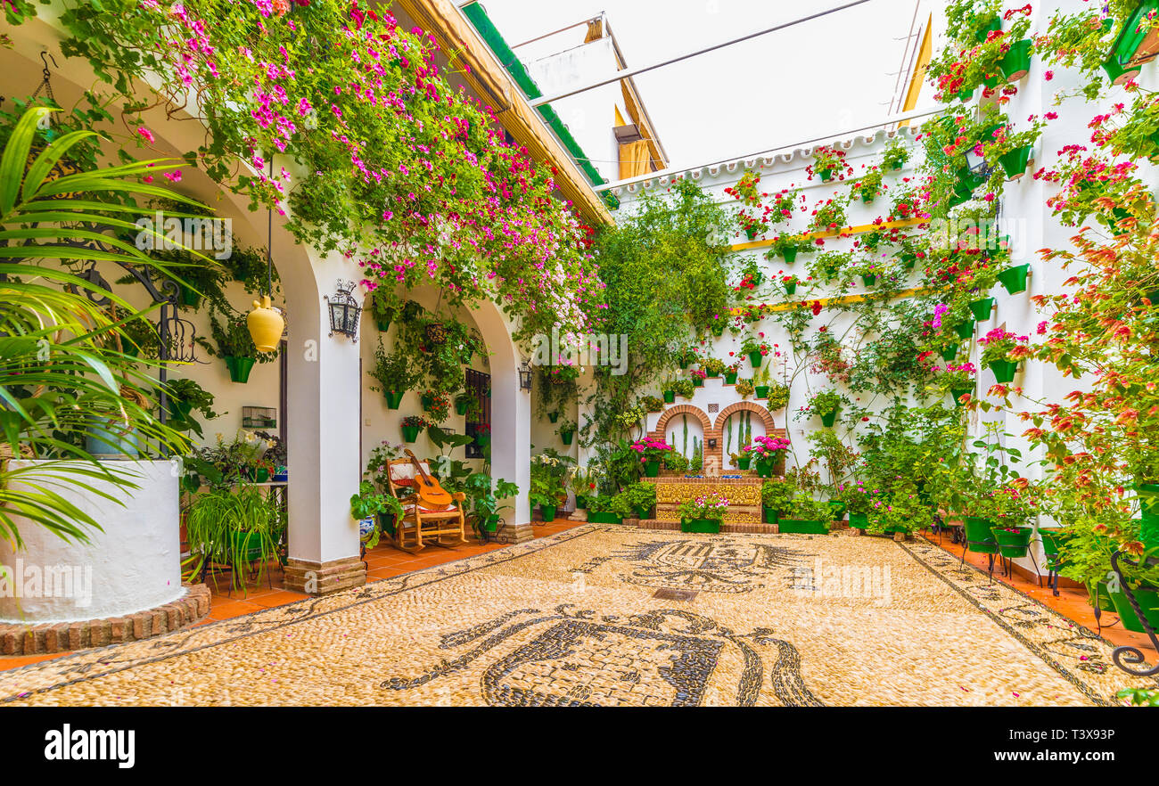 Traditional house and courts with flower in Cordoba, Spain Stock Photo ...