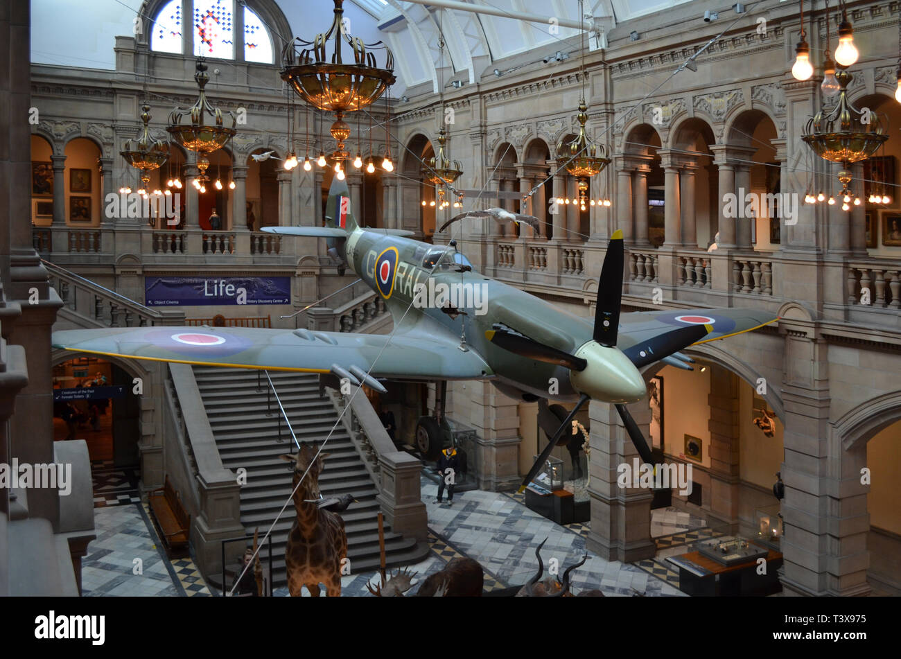 Spitfire museum hi-res stock photography and images - Alamy